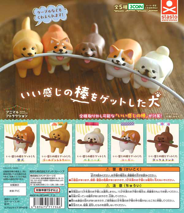 Dog Gets a Nice Stick! | Gacha x2